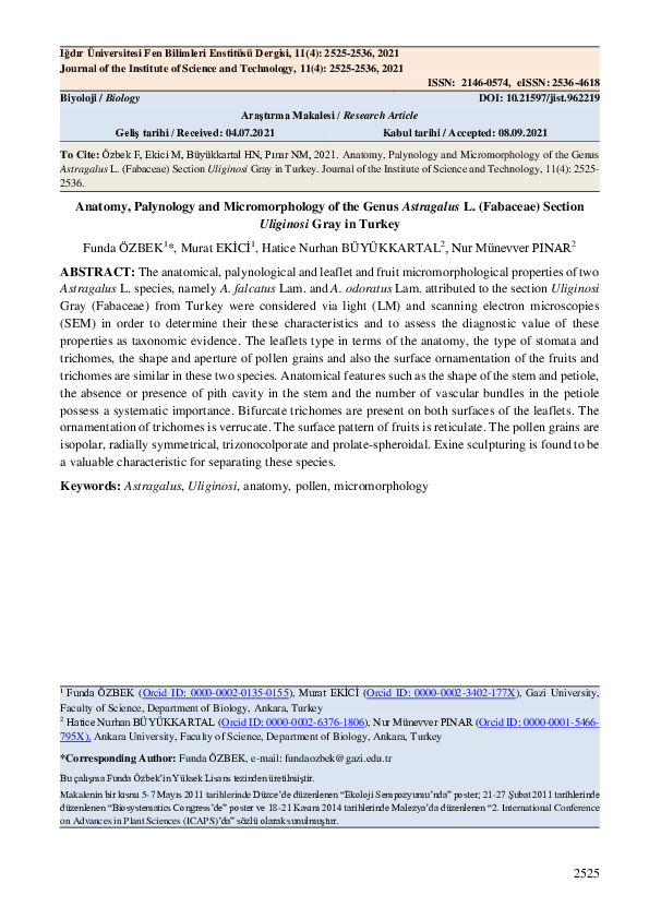 (PDF) Anatomy, Palynology and Micromorphology of the Genus Astragalus L ...