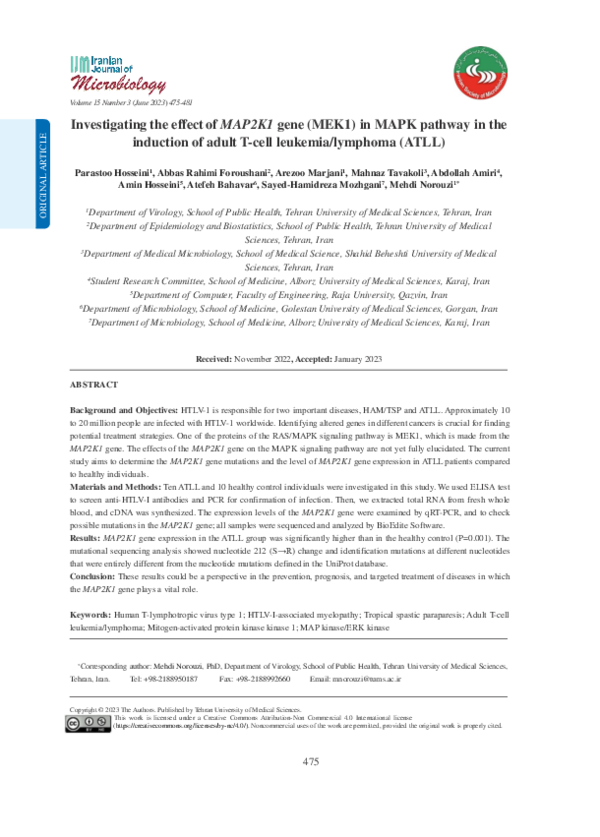 (PDF) Investigating the effect of MAP2K1 gene (MEK1) in MAPK pathway in ...