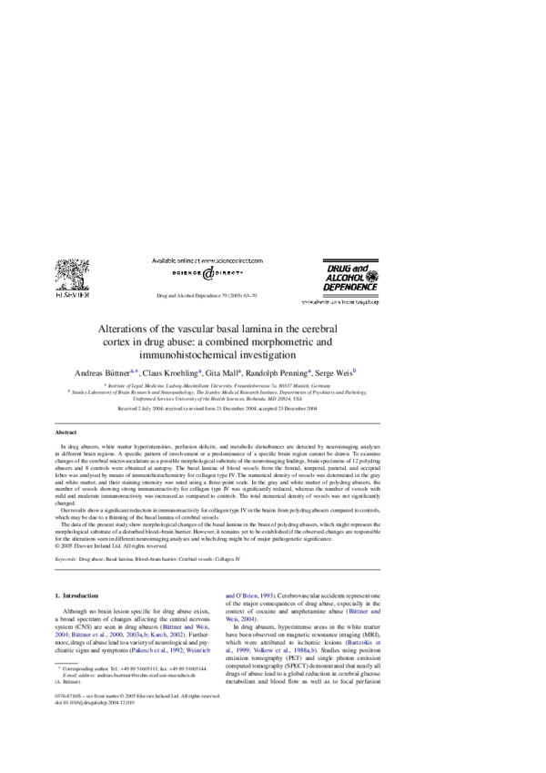 (PDF) Alterations of the vascular basal lamina in the cerebral cortex ...