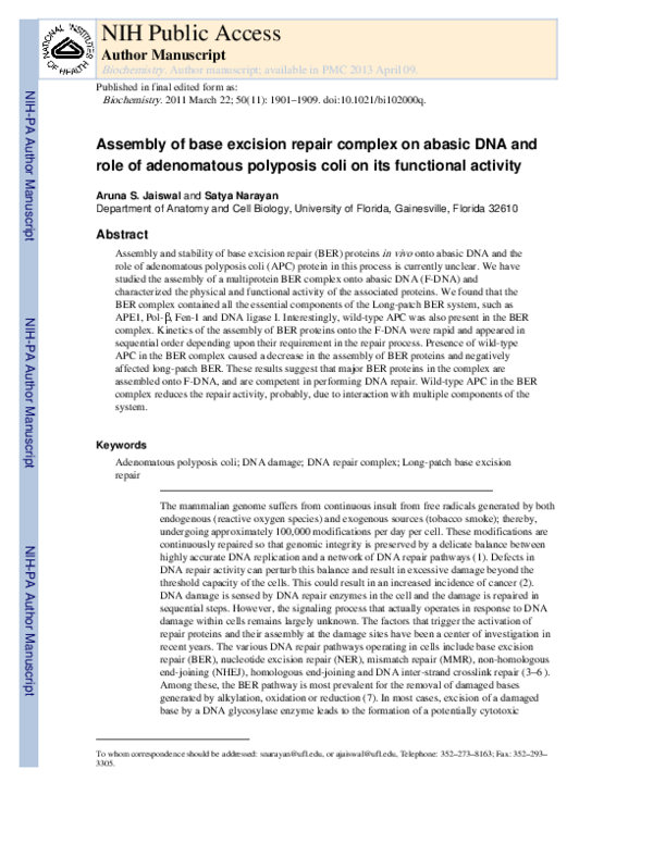 (PDF) Assembly of the Base Excision Repair Complex on Abasic DNA and ...