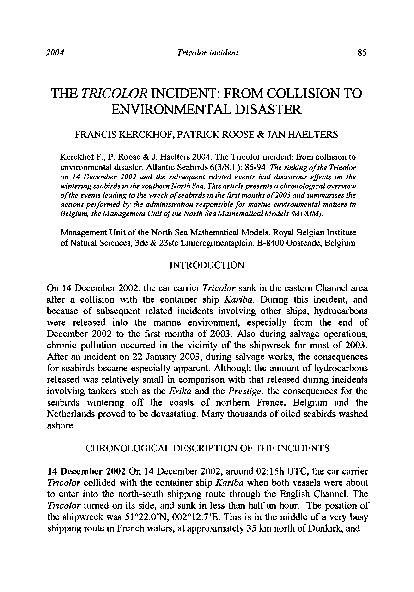 (PDF) The Tricolor incident: from collision to environmental disaster