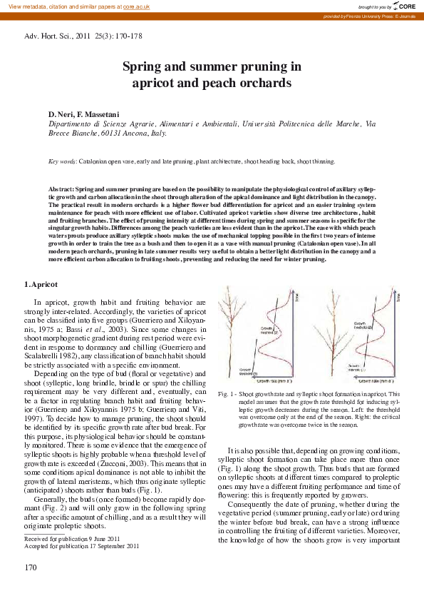 (PDF) Spring and summer pruning in apricot and peach orchards
