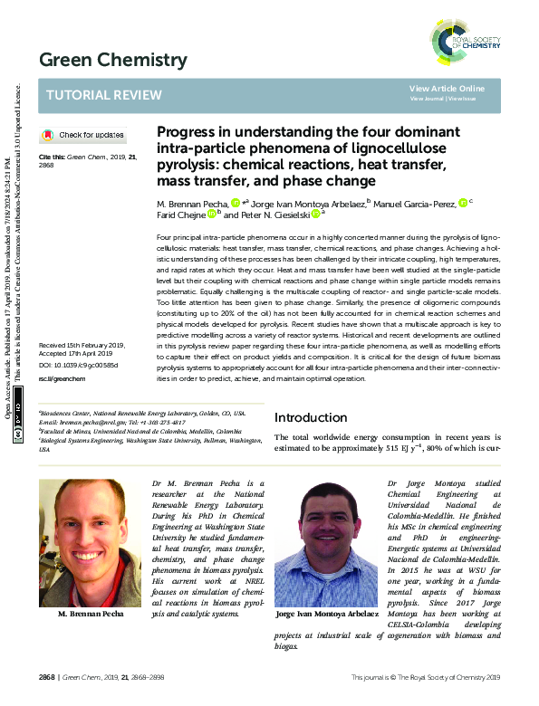 (PDF) Progress in understanding the four dominant intra-particle ...