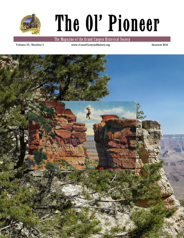 (PDF) Sara Lemmon and Jane Gray: The First and Second Non-Indigenous ...