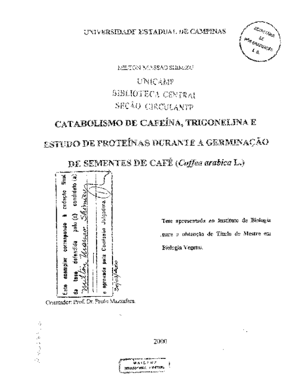 (PDF) Catabolismo de cafeina, trigonelina e estudo de proteinas durante ...