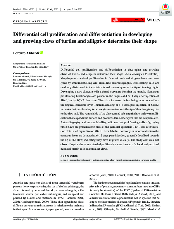 (PDF) Differential cell proliferation and differentiation in developing ...