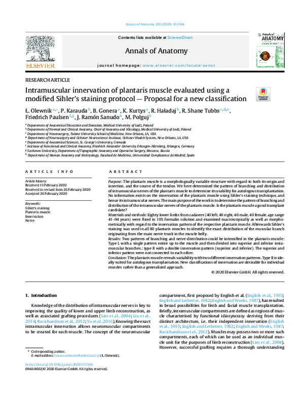 (PDF) Intramuscular innervation of plantaris muscle evaluated using a ...