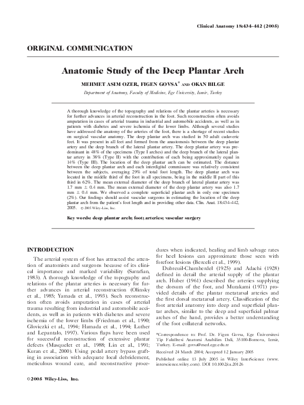 (PDF) Anatomic study of the deep plantar arch