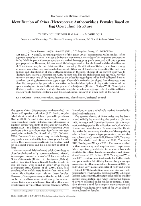 (PDF) Identification of Orius (Heteroptera: Anthocoridae) Females Based ...