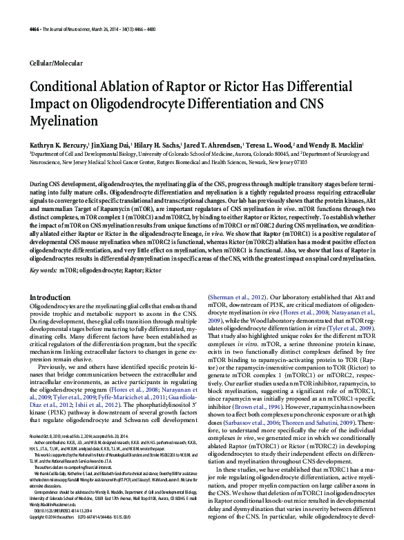 (PDF) Conditional Ablation of Raptor or Rictor Has Differential Impact ...