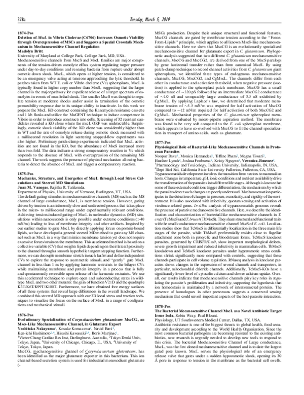 (PDF) The Bacterial Mecanosensitive Channel MscL as a Novel Antibiotic Target