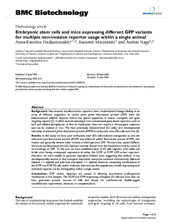 (PDF) Embryonic stem cells and mice expressing different GFP variants ...