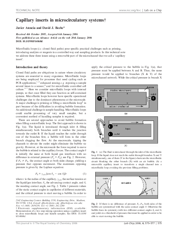 (PDF) Capillary inserts in microcirculatory systems