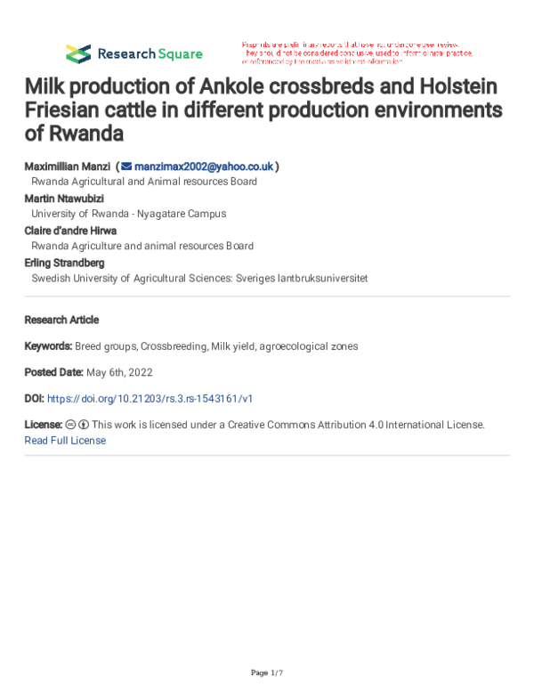 (PDF) Milk production of Ankole crossbreds and Holstein Friesian cattle ...