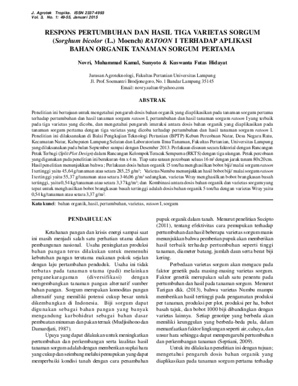 (PDF) RESPONS PERTUMBUHAN DAN HASIL TIGA VARIETAS SORGUM (Sorghum bicolor (L.) Moench) RATOON I ...