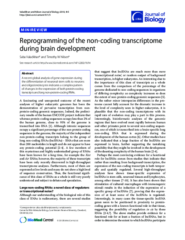 (PDF) Reprogramming of the non-coding transcriptome during brain development