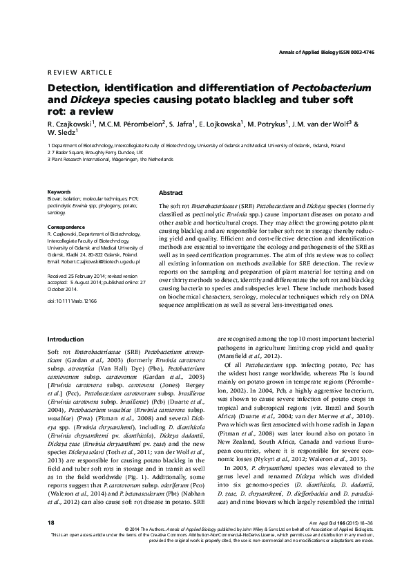 (PDF) Detection, identification and differentiation of Pectobacterium ...