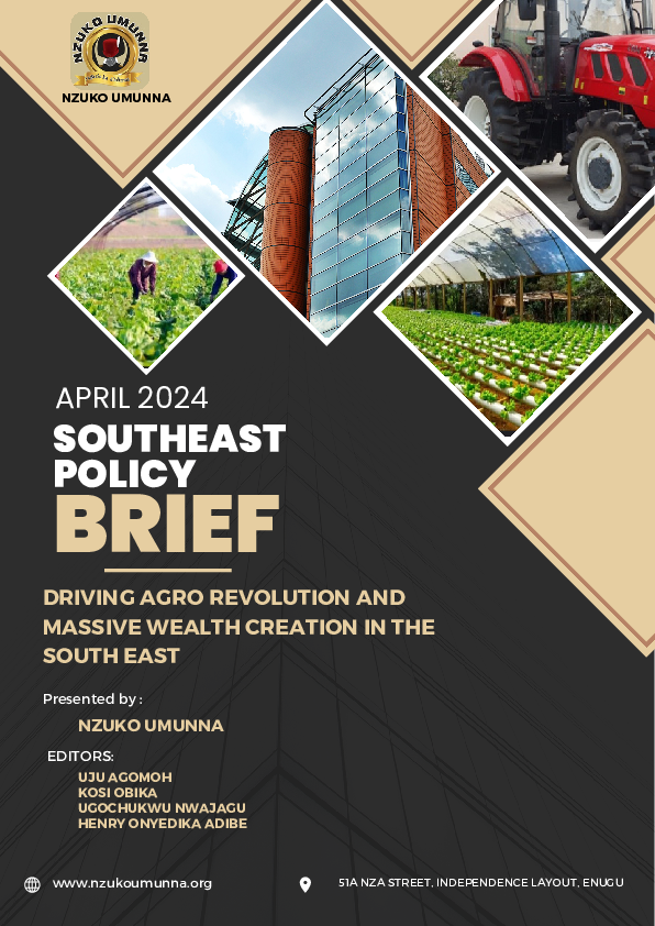 (PDF) Nzuko Umunna April Policy Brief final 1