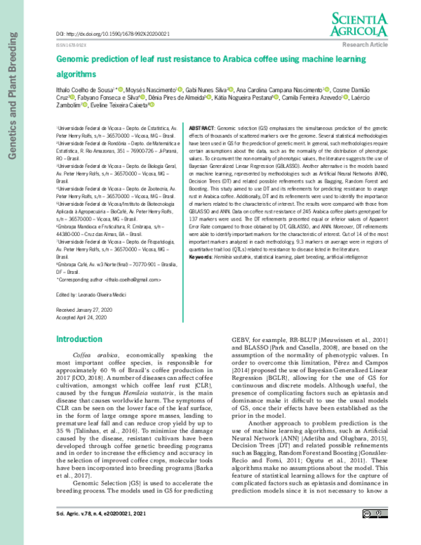(PDF) Genomic prediction of leaf rust resistance to Arabica coffee ...