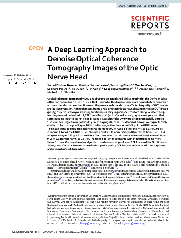 (PDF) A Deep Learning Approach to Denoise Optical Coherence Tomography Images of the Optic Nerve ...