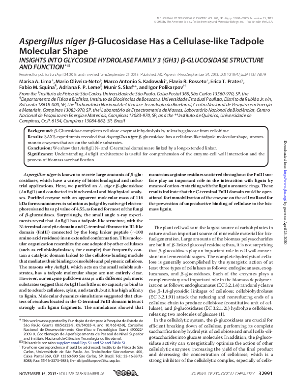 (PDF) Aspergillus niger β-Glucosidase Has a Cellulase-like Tadpole Molecular Shape