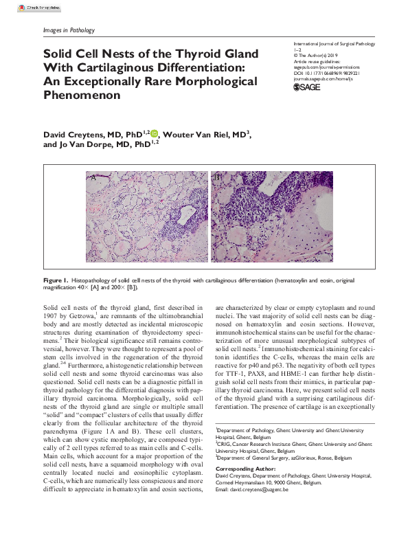 (PDF) Solid Cell Nests of the Thyroid Gland With Cartilaginous ...