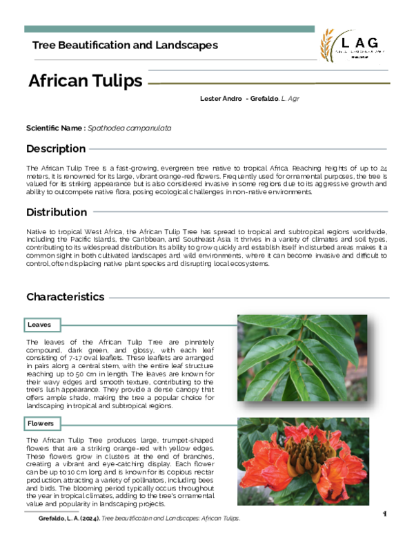 (PDF) The African Tulips