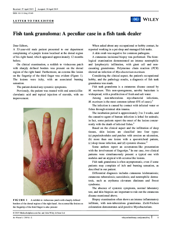 (PDF) Fish tank granuloma: A peculiar case in a fish tank dealer