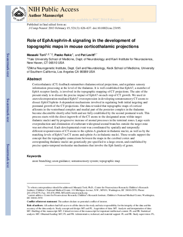 (PDF) Role of EphA/ephrin-A signaling in the development of topographic ...