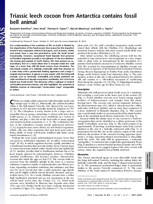 (PDF) Triassic leech cocoon from Antarctica contains fossil bell animal