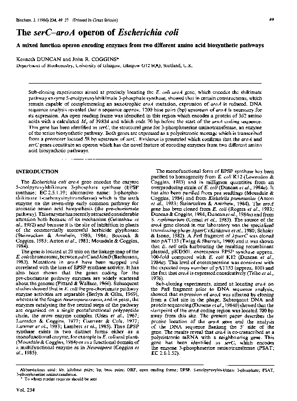 (PDF) The serC-aro A operon of Escherichia coli . A mixed function ...
