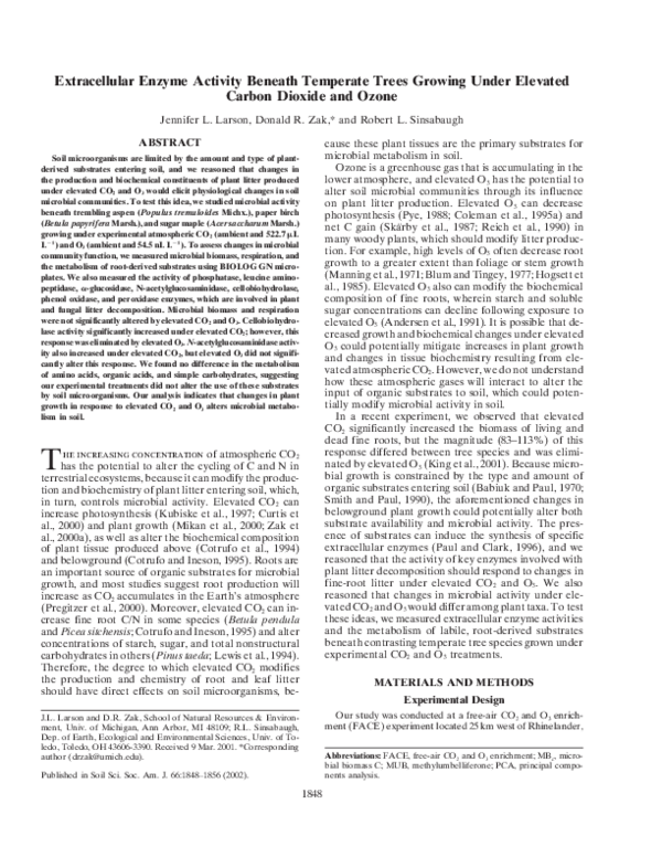 (PDF) Extracellular Enzyme Activity Beneath Temperate Trees Growing ...