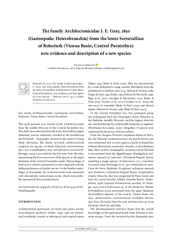 (PDF) The family Architectonicidae J. E. Gray, 1850 (Gastropoda ...