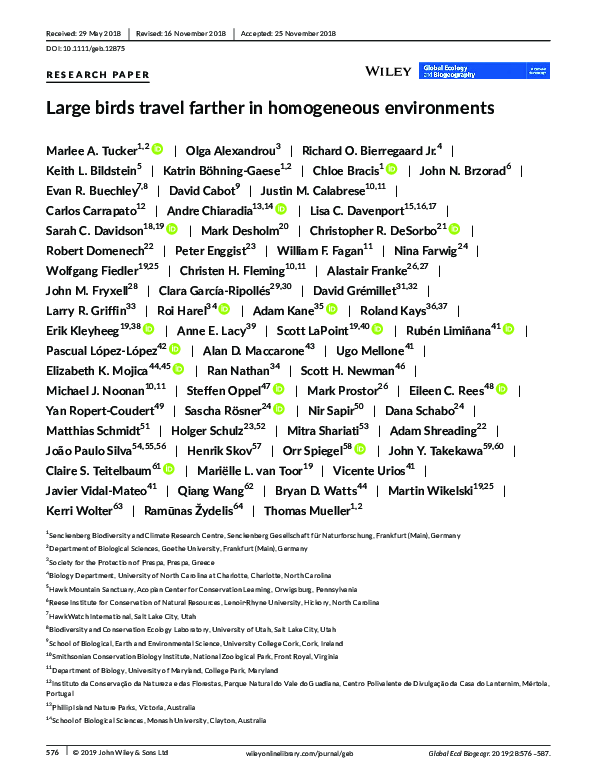 (PDF) Large birds travel farther in homogeneous environments