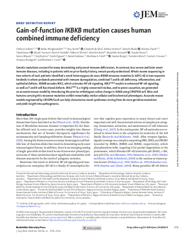 Pdf Gain Of Function Ikk2 Mutation In Human Immune Deficiency