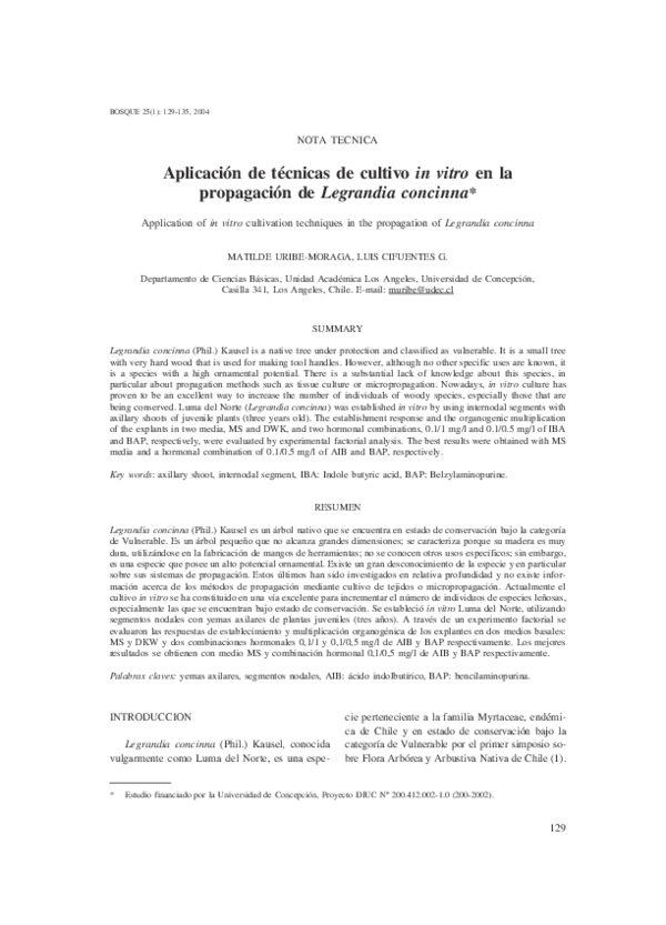 (PDF) Aplicación de técnicas de cultivo in vitro en la propagación de ...