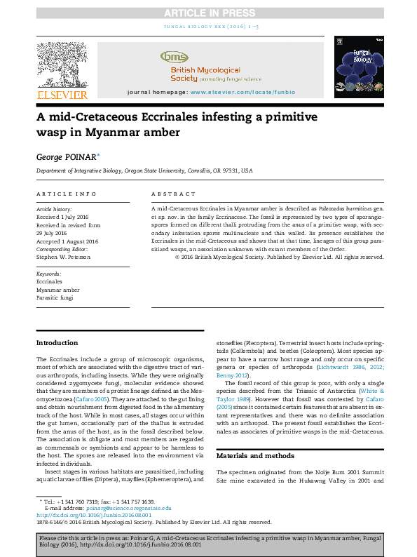 (PDF) A mid-Cretaceous Eccrinales infesting a primitive wasp in Myanmar ...