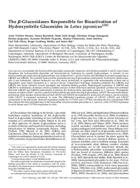 (PDF) The β -Glucosidases Responsible for Bioactivation of ...