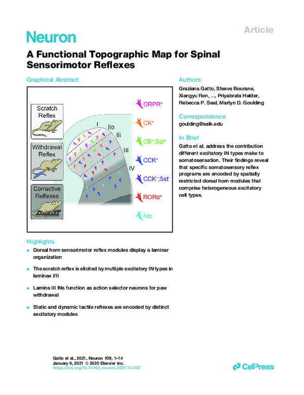 (PDF) A Functional Topographic Map for Spinal Sensorimotor Reflexes ...