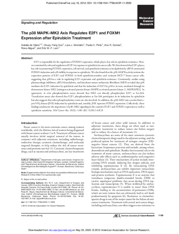 (PDF) Data from The p38 MAPK–MK2 Axis Regulates E2F1 and FOXM1 ...