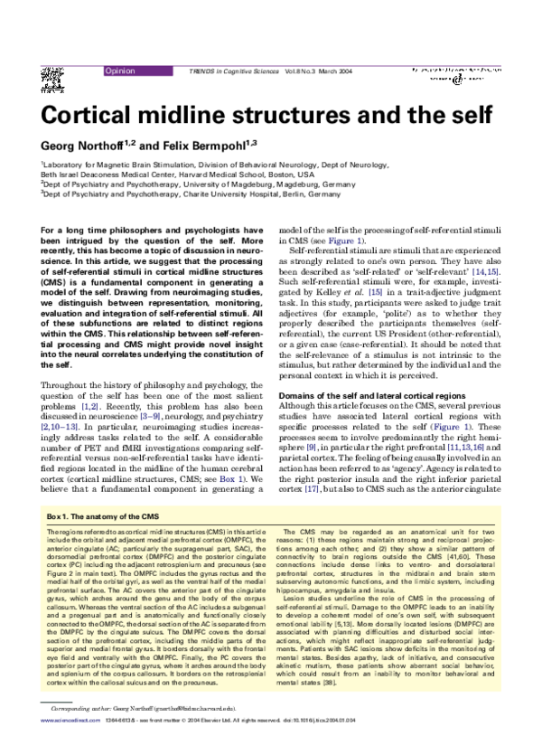 (PDF) Cortical midline structures and the self