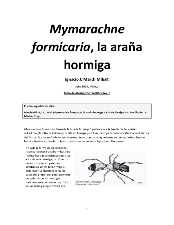 (PDF) Mymarachne formicaria, la araña hormiga