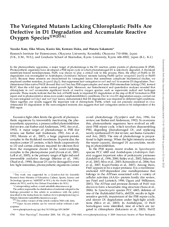 (PDF) The Variegated Mutants Lacking Chloroplastic FtsHs Are Defective ...
