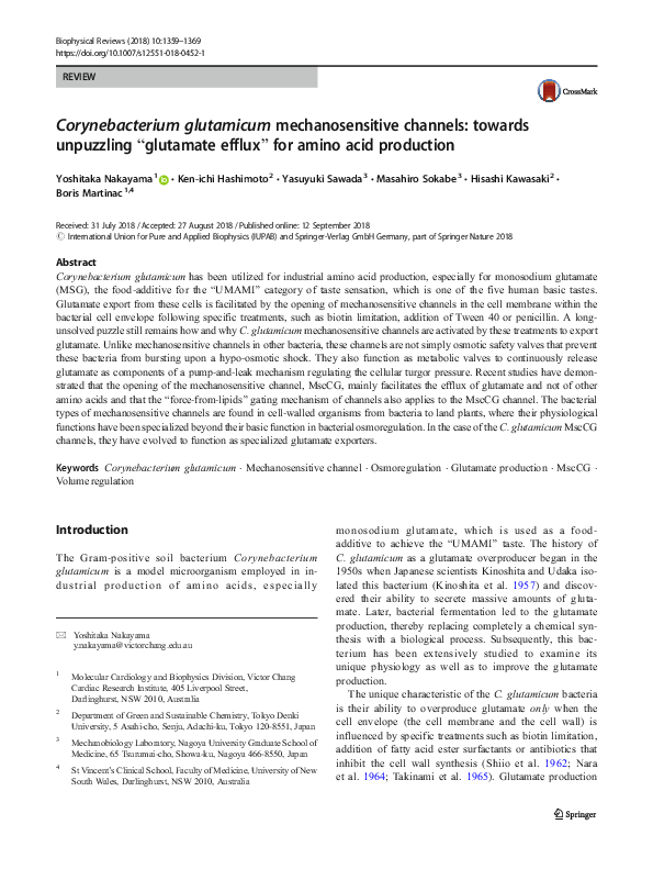 (PDF) Corynebacterium glutamicum mechanosensitive channels: towards ...