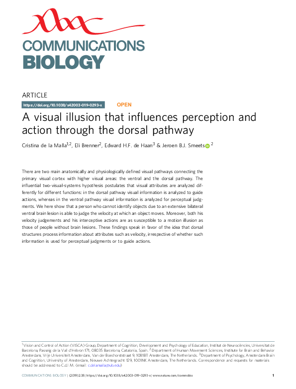 (PDF) A visual illusion that influences perception and action through ...