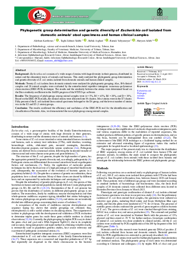 (PDF) Phylogenetic group determination and genetic diversity of ...