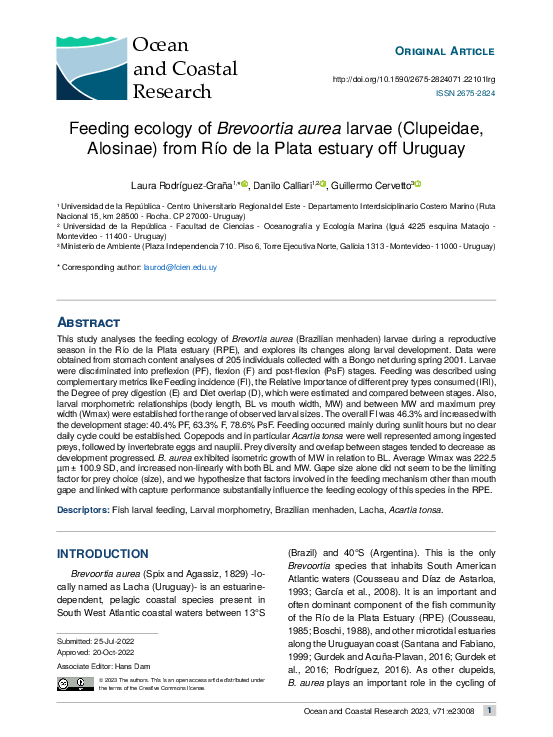 (PDF) Feeding ecology of Brevoortia aurea larvae (Clupeidae, Alosinae ...