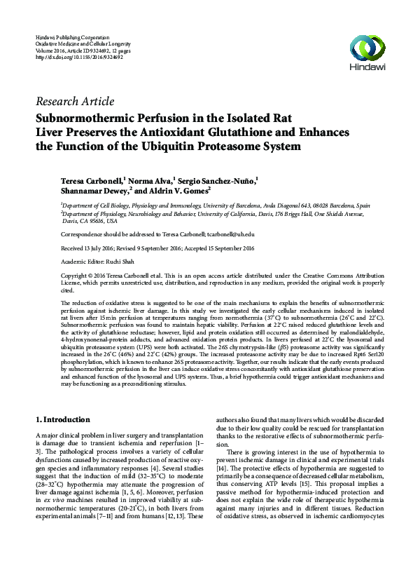 (PDF) Subnormothermic Perfusion in the Isolated Rat Liver Preserves the ...
