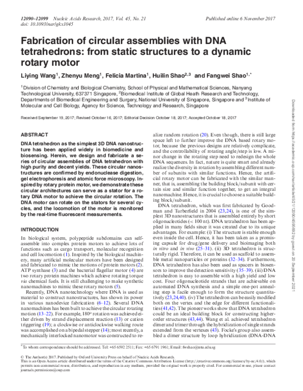 (PDF) Fabrication of circular assemblies with DNA tetrahedrons: from ...