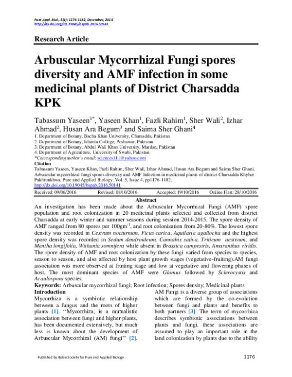 (PDF) Arbuscular Mycorrhizal Fungi spores diversity and AMF infection in some medicinal plants ...